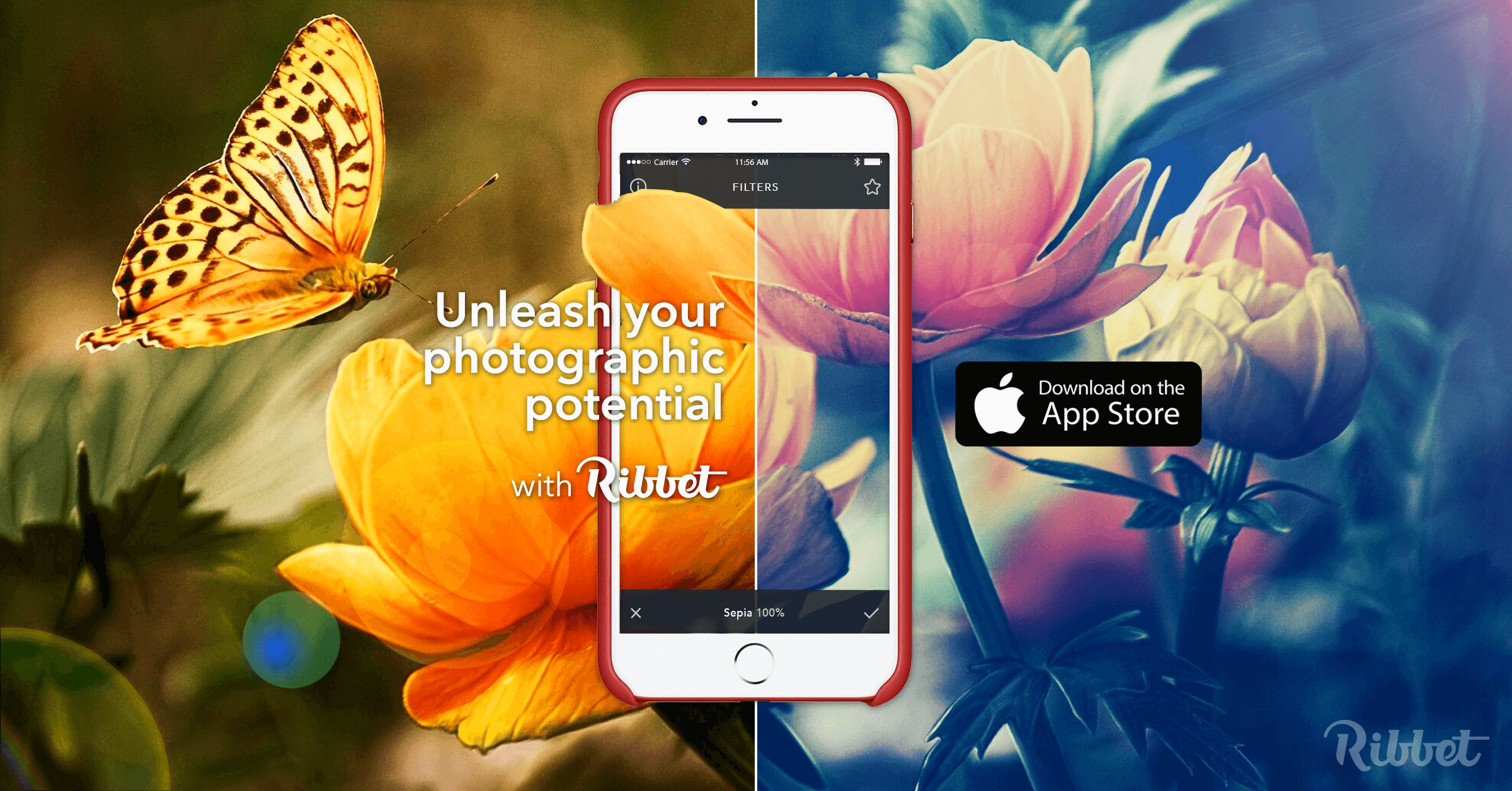 Ribbet | Complete Photo Editing Feature List