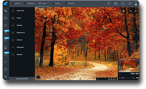 Ribbet | Photo Editor for Windows